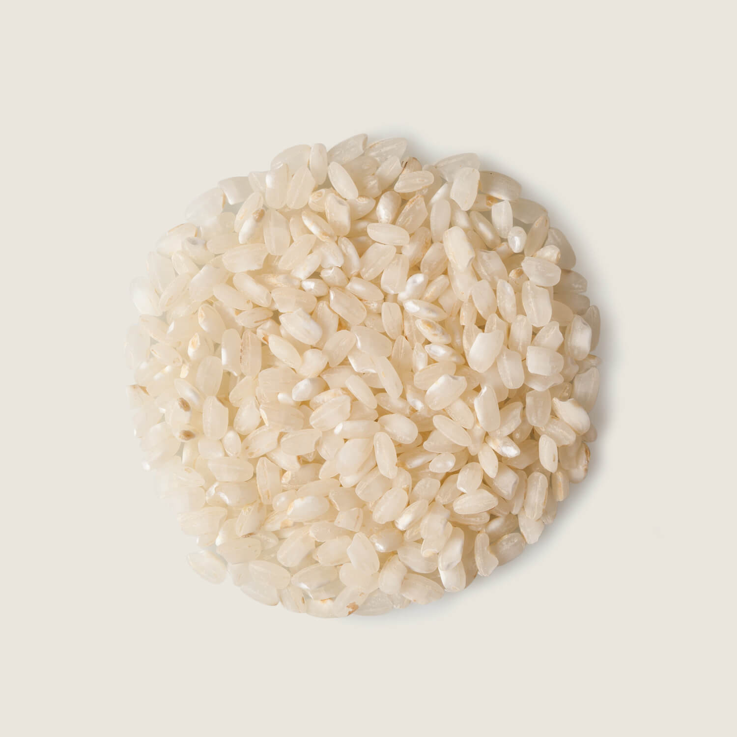 Arroz - Trevijano