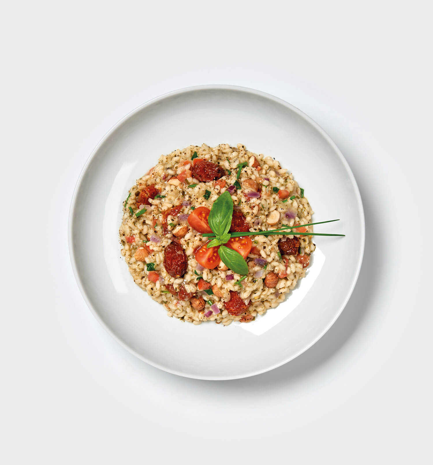 Tuscan risotto - Trevijano