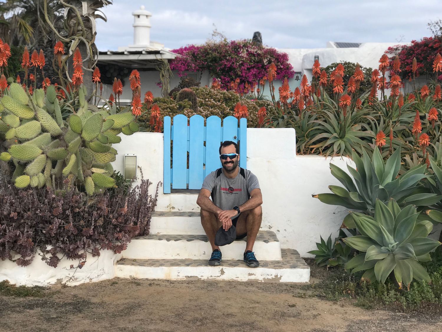 Platos y Recetas Increíblemente Fáciles de Preparar - TREVIJANO